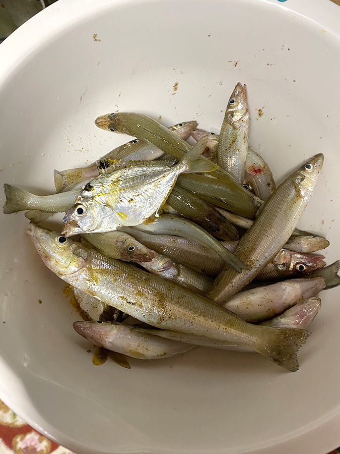 7月26日 こうし様 | フィッシング遊