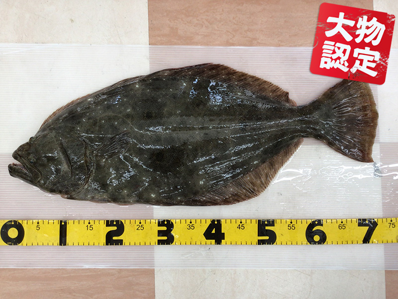 10月20日 福田様 | フィッシング遊