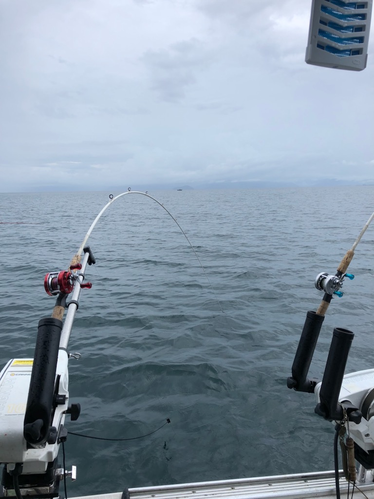 ビワマスを求めてDub Hand Fさんでトローリング | フィッシング遊